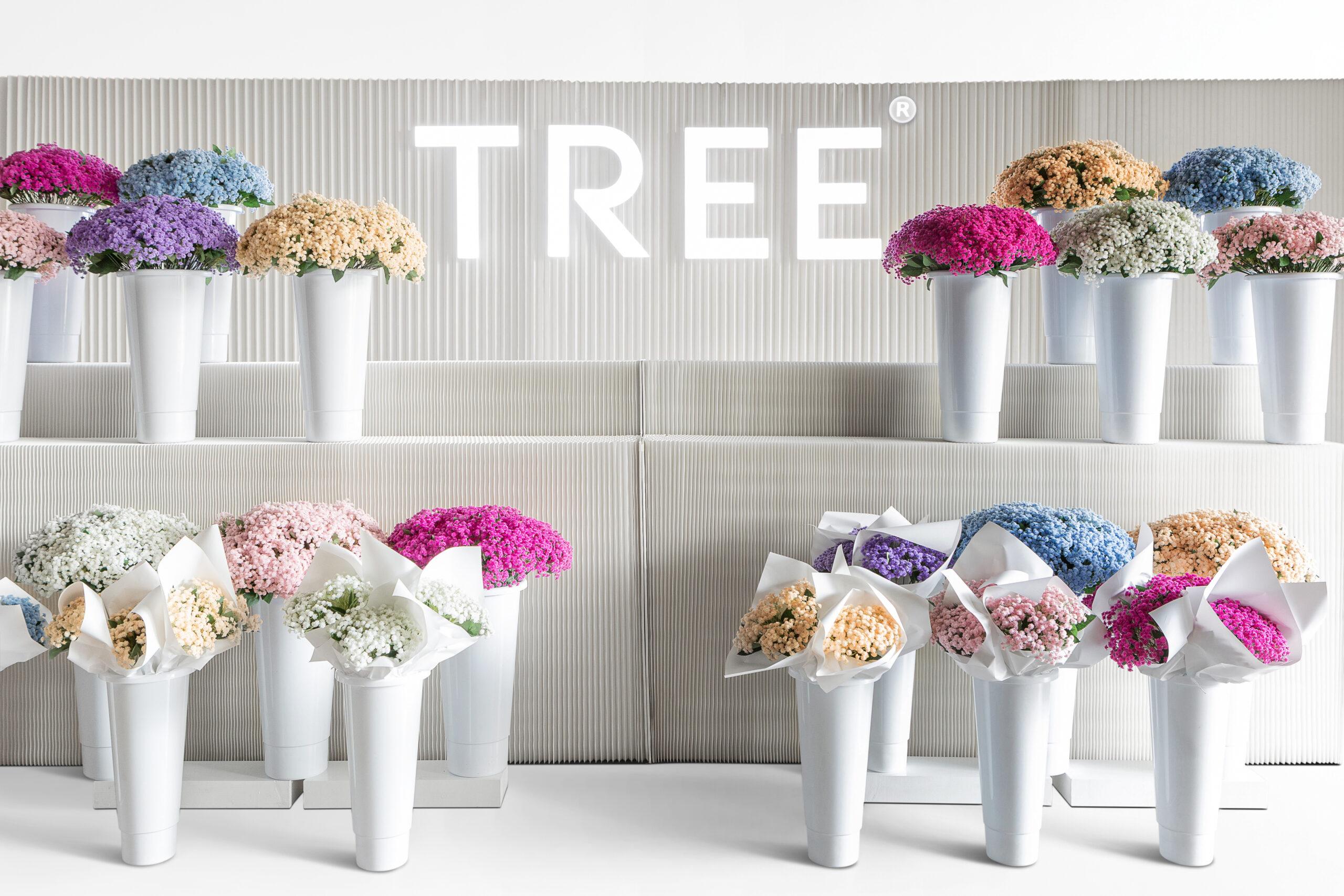 TREE SPECTACLES announces THE AYRA COLLECTION - Prisme Optique